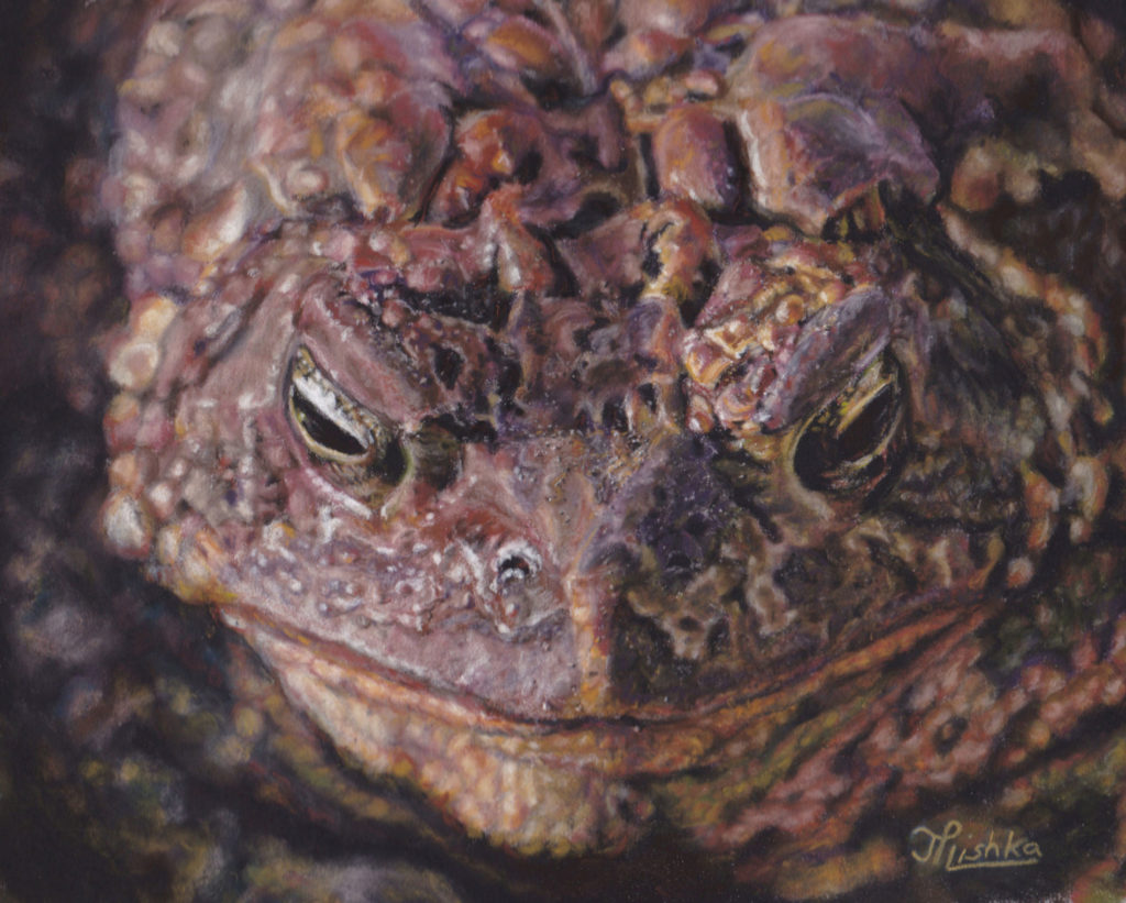 2022 MYM Virtual Exhibition Entries - Southeastern Pastel Society